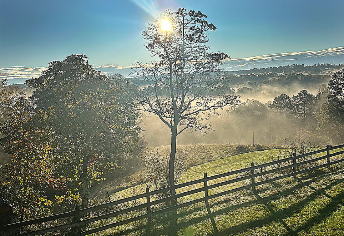 Picture This: Mid-Ohio Valley Fog | News, Sports, Jobs - News and Sentinel